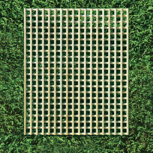 Concave Trellis - Weatherley Fencing Contractors Ltd